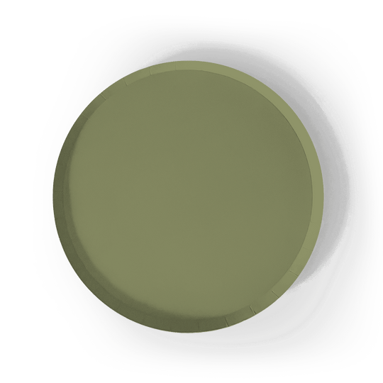 Green Paper Party Plate (12pcs) - Josi James